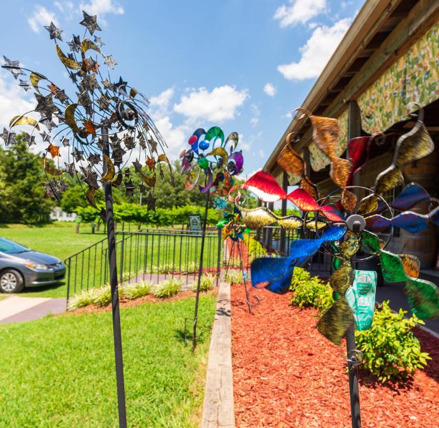 Hinnant Family Vineyards