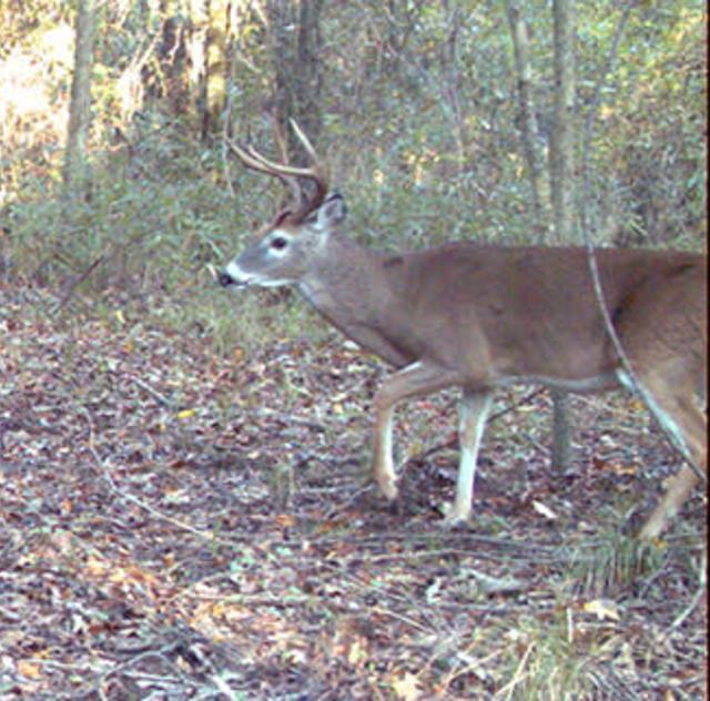 Howell Woods Environmental Learning Center