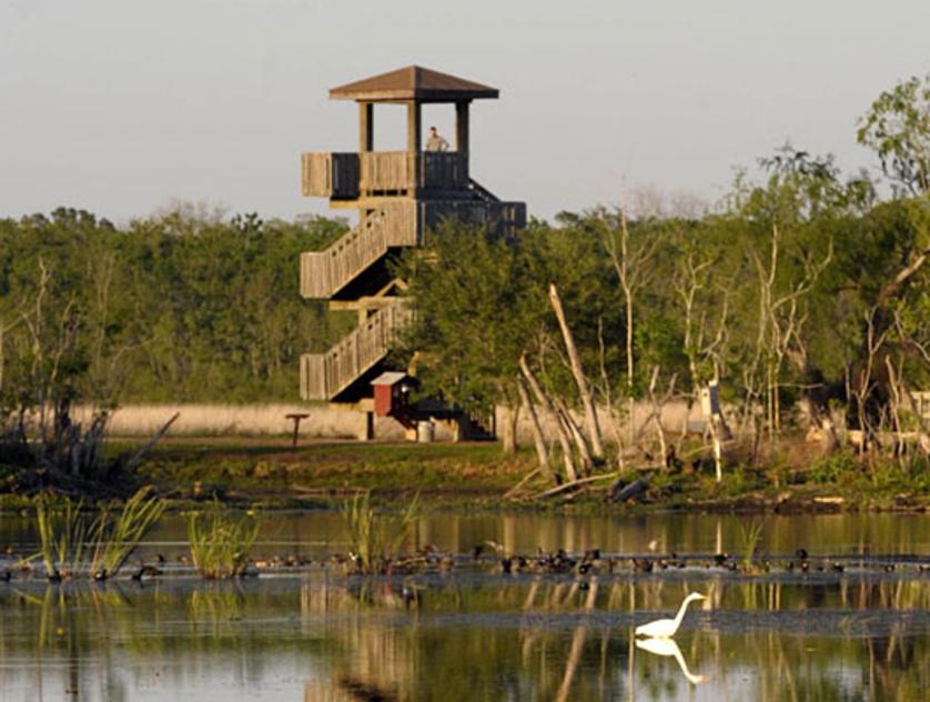 Brazos Bend State Park | Things To Do in Needville, TX 77461