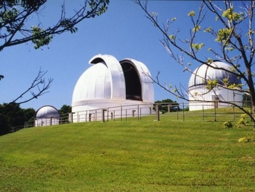 Brazos Bend State Park | Things To Do in Needville, TX 77461