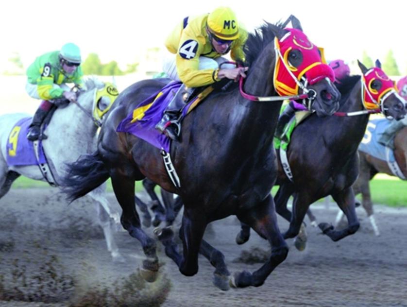 Sam Houston Race Park | Things To Do in Houston, TX 77064