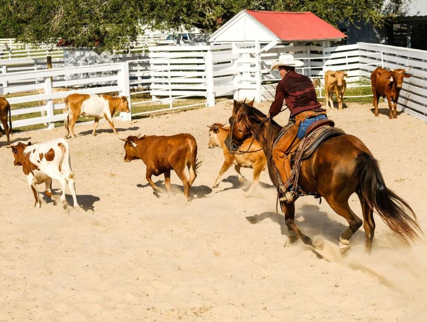 George Ranch Historical Park | Things To Do in Richmond, TX 77406