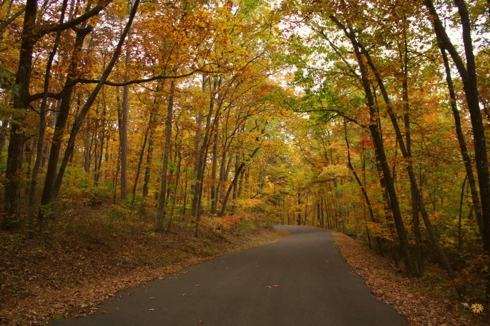 North Alabama Fall Color Trail | Visit North Alabama