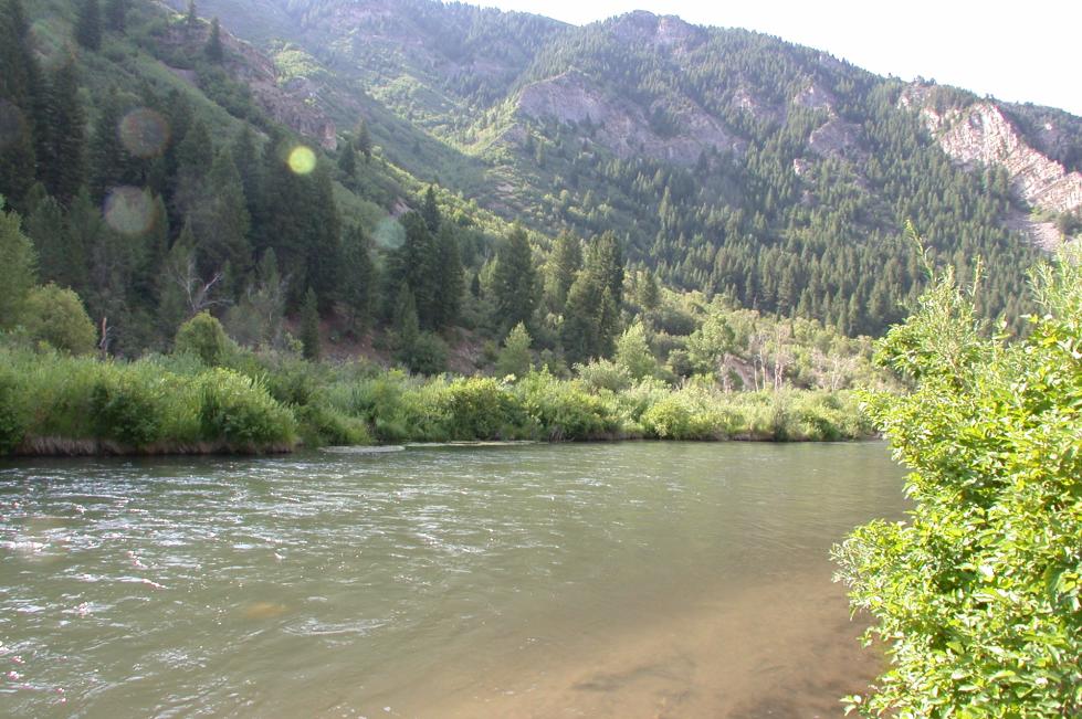 Provo River