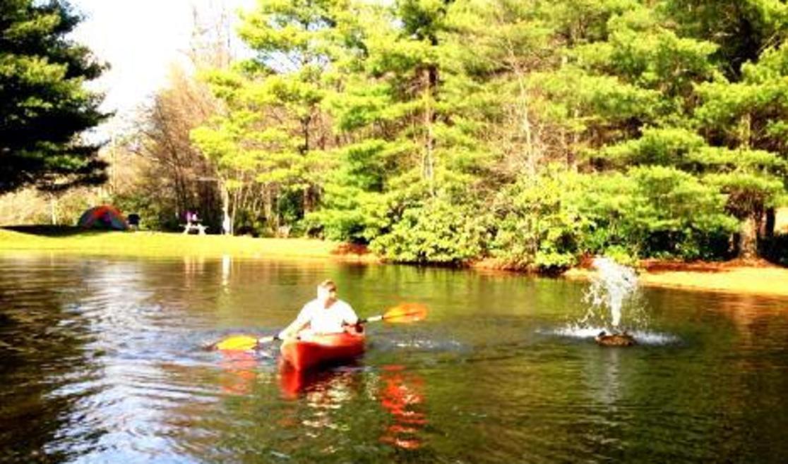 Honey Bear Campground