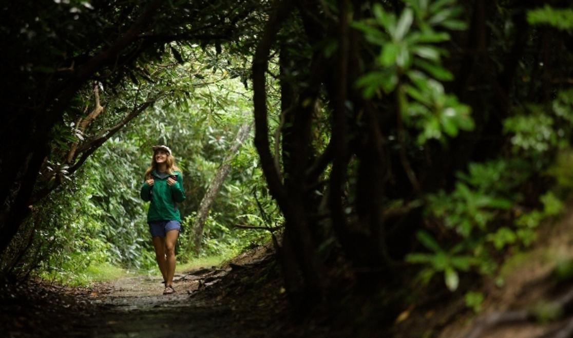 Hebron Falls via Boone Fork Trail