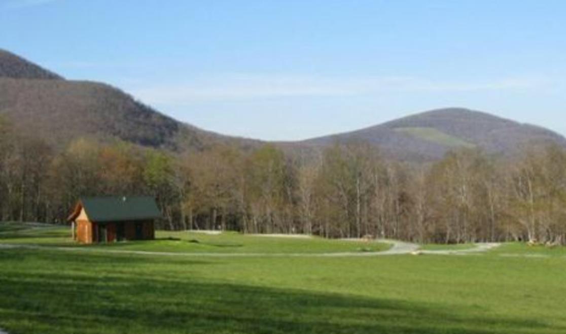 Blue Bear Mountain Camp