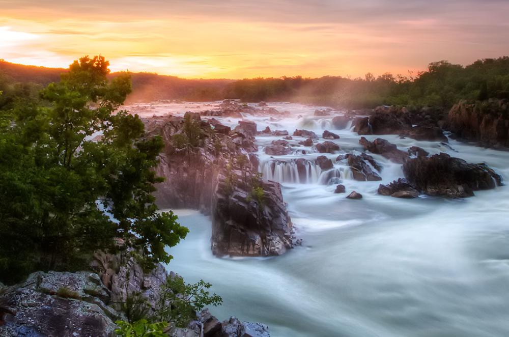 Transformed By Spring - Spring Flowers in Virginia | FXVA