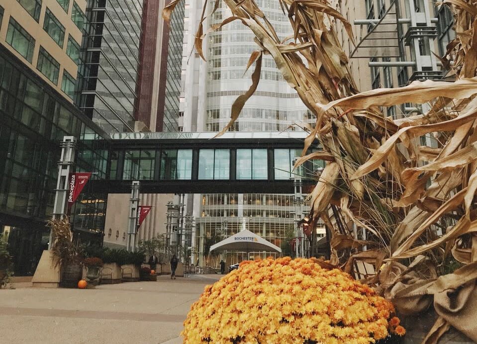 Things to Do in the Fall in Rochester, MN