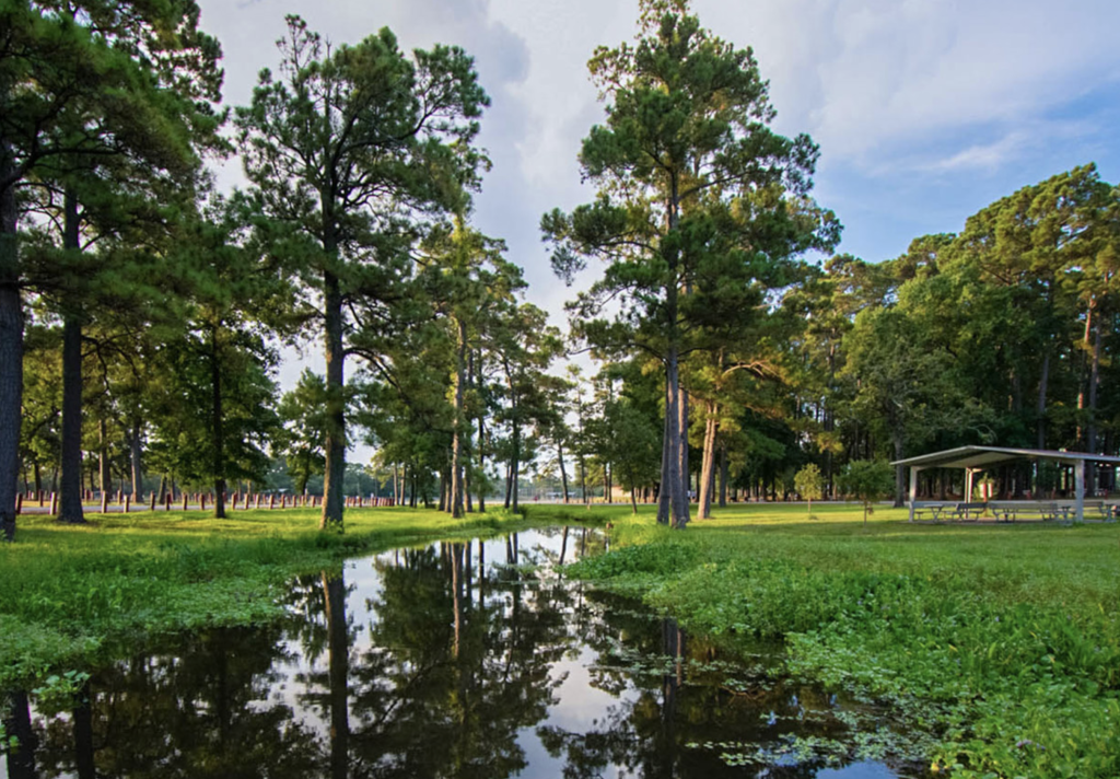 Alexander Deussen Park | Things To Do in Houston, TX