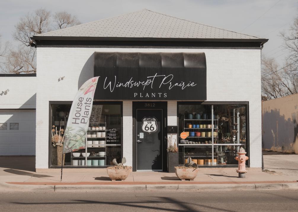 Windswept Prairie Plants