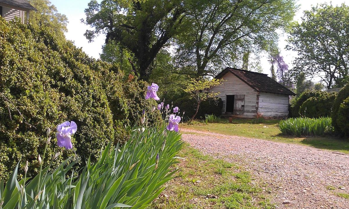 Pond Spring - General Joe Wheeler Home, Hillsboro: An Alabama ...