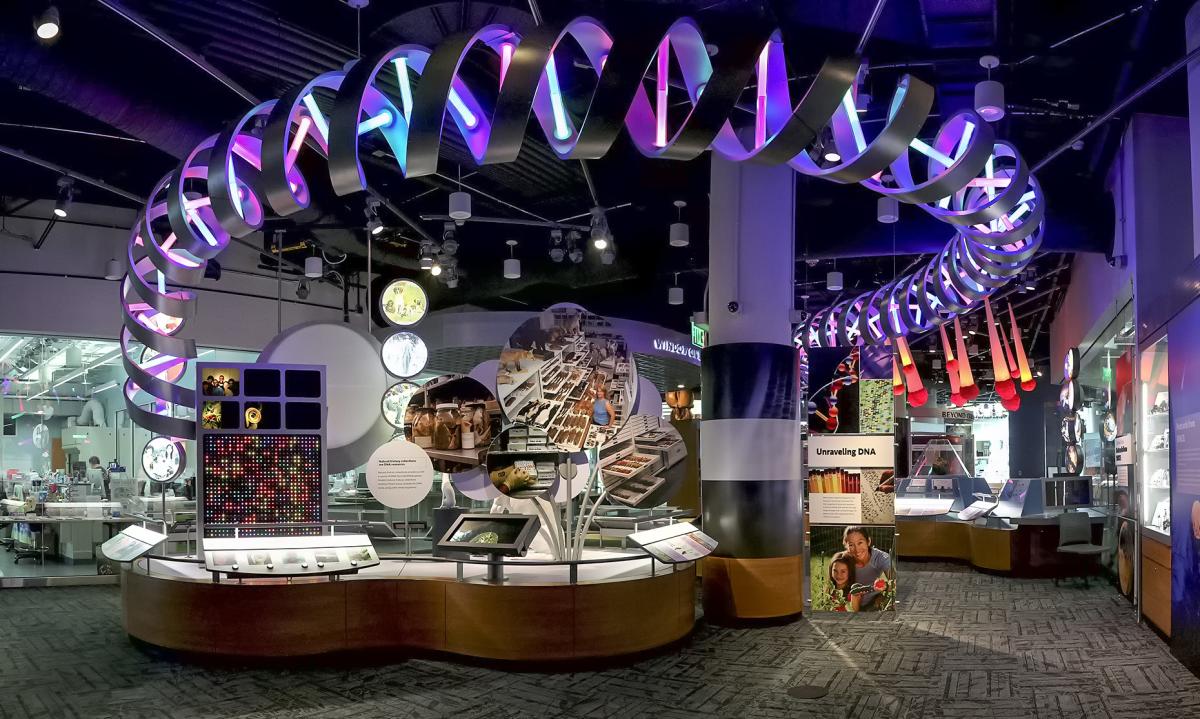 North Carolina Museum of Natural Sciences in Raleigh, N.C. - Visit Raleigh