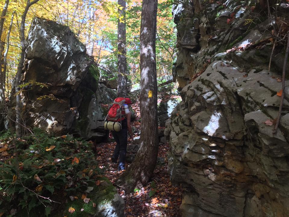 Laurel Highlands Hiking Trail | 70 Miles of Mountain Terrain