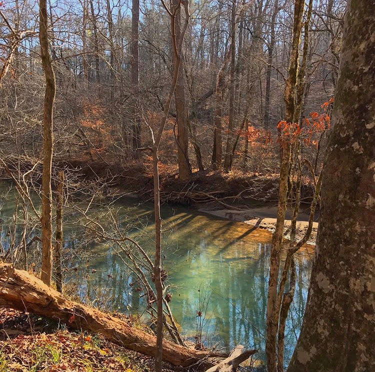 Outdoor Activities in North Alabama For Nature Lovers