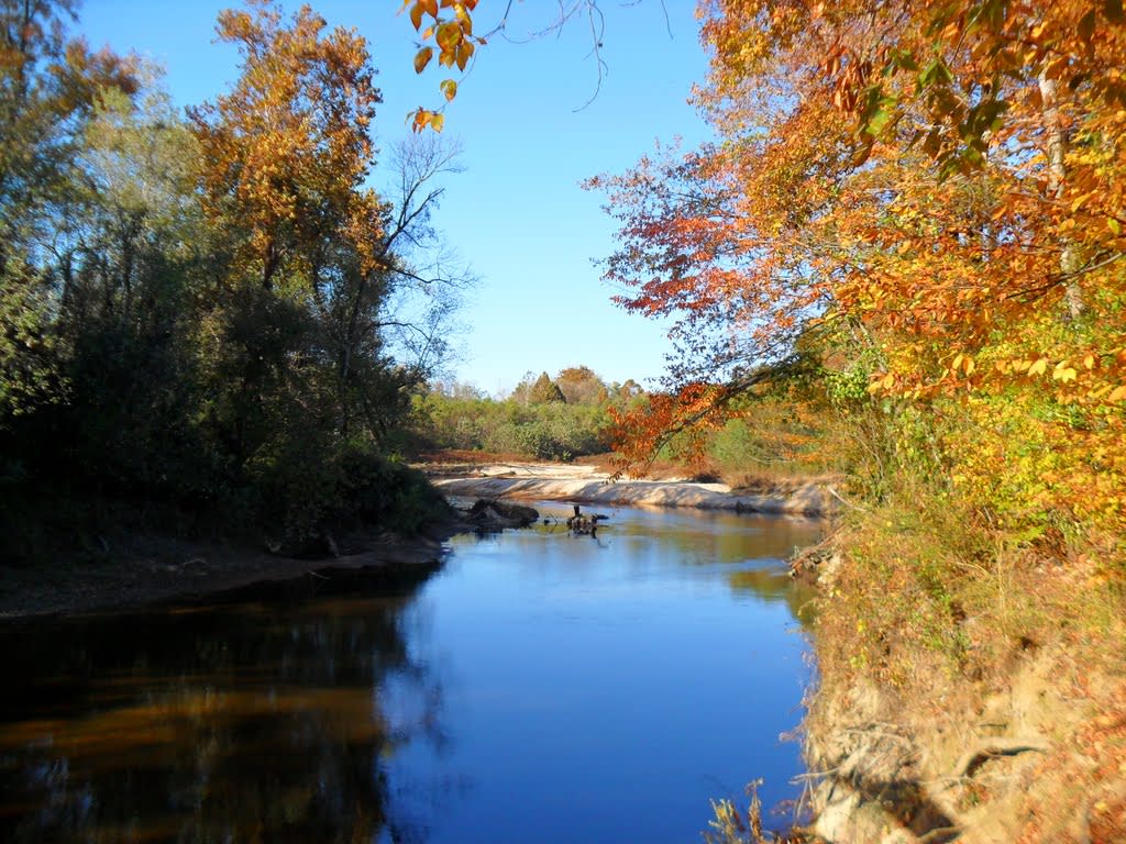 Alabama Fall Foliage Map | North Alabama Fall Color Trail