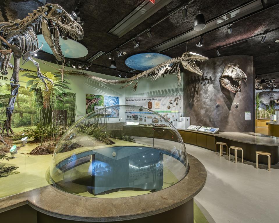 Delaware Museum of Nature and Science | Wilmington, DE 19807