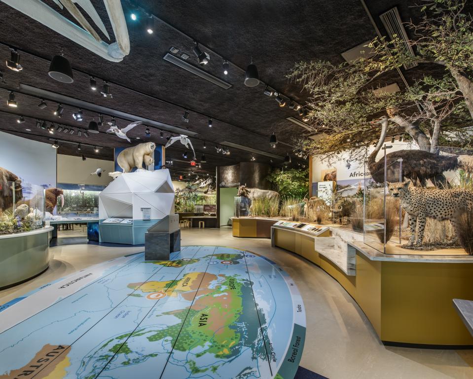 Delaware Museum of Nature and Science | Wilmington, DE 19807