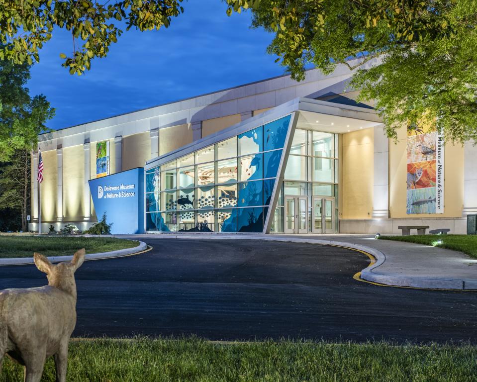Delaware Museum of Nature and Science | Wilmington, DE 19807