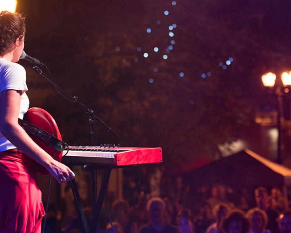 The Ladybug Music Festival | DE