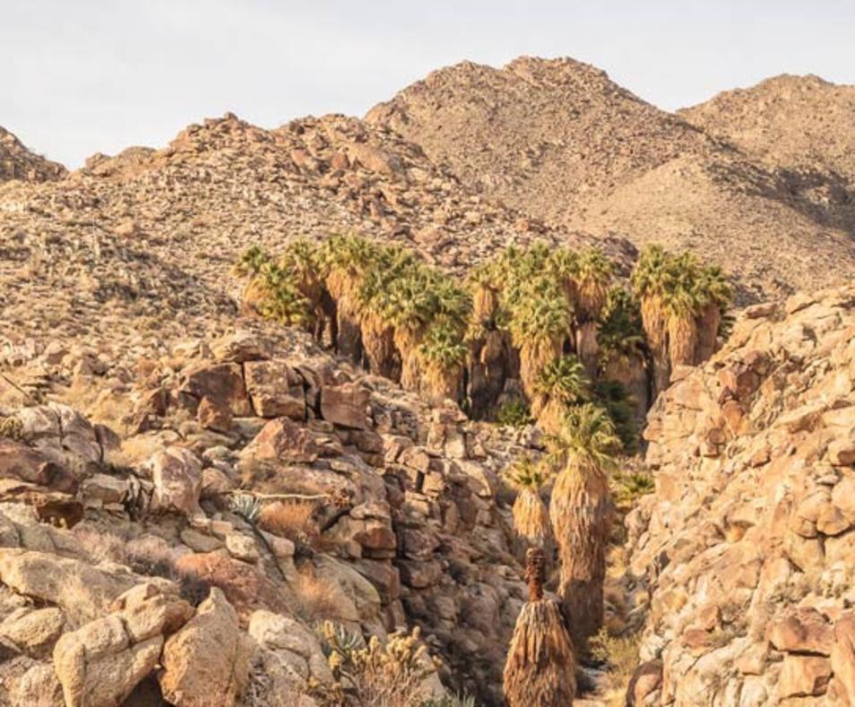 Santa Rosa & San Jacinto Mountains National Monument