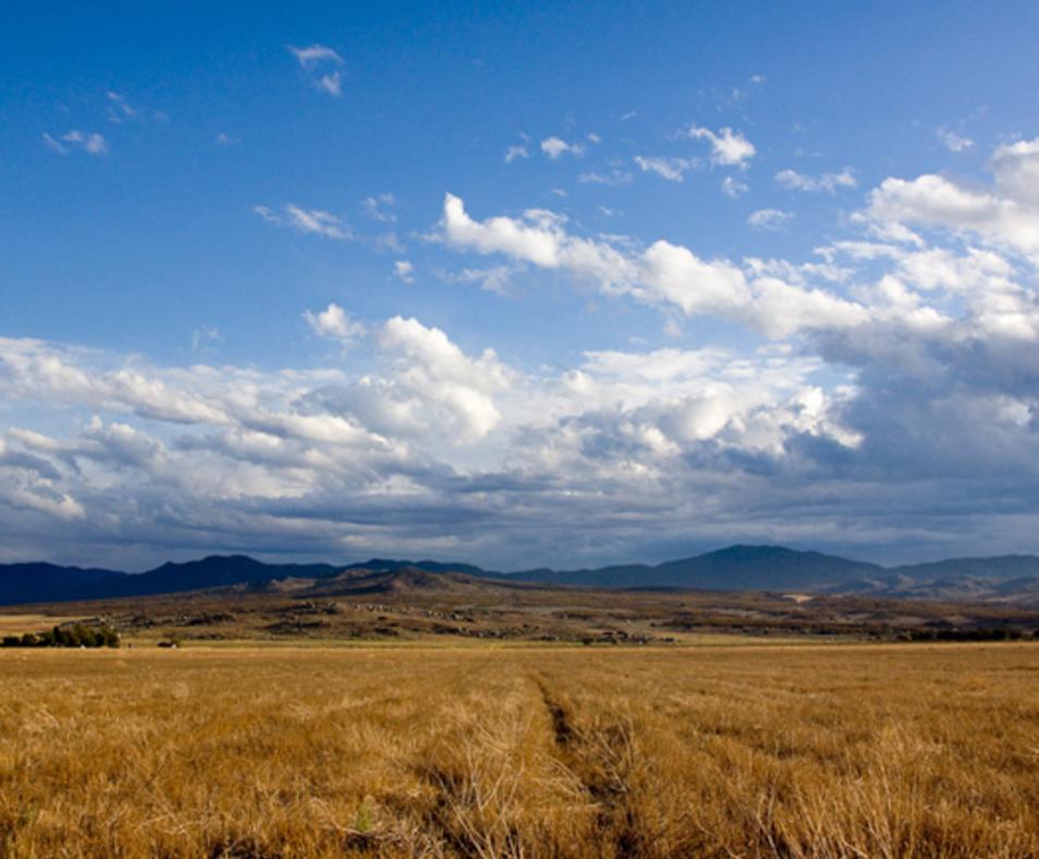 Anza Valley Chamber of Commerce