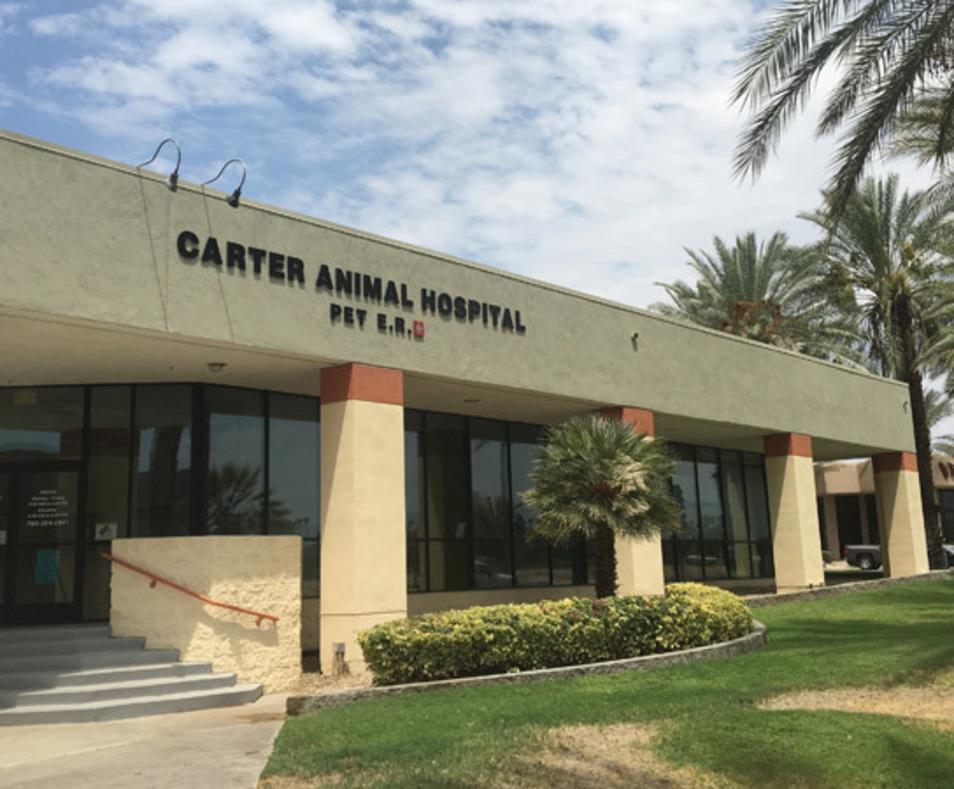 Carter Animal Hospital