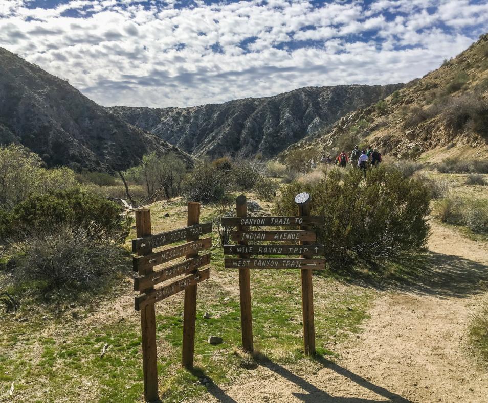 Big Morongo Canyon Through Hike