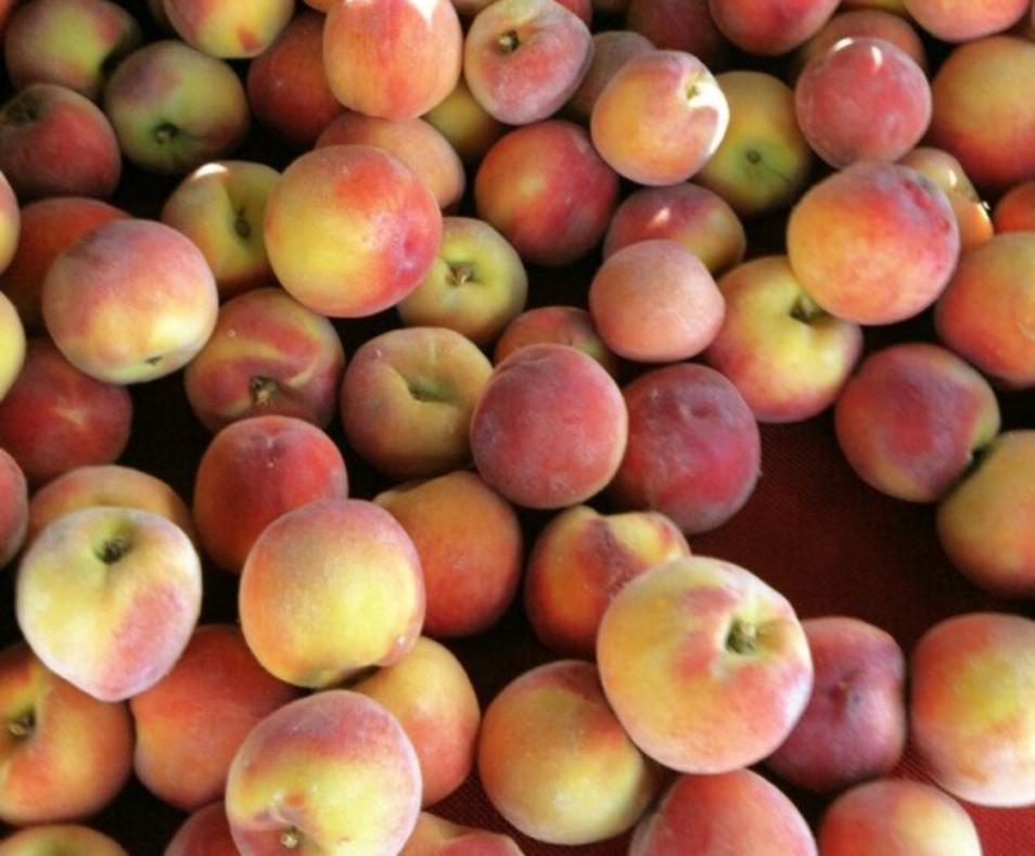 Certified Farmers' Market - Palm Springs