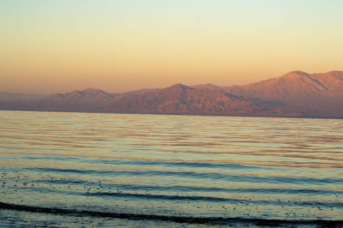 First Timer's Guide to Visiting the Salton Sea