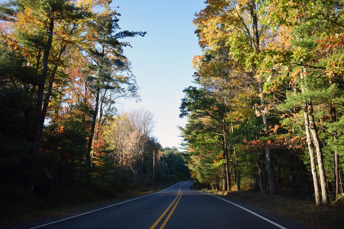 7 Scenic Drives to Experience Pocono Fall Foliage