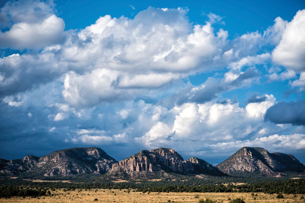 The Best Hikes in Catron County