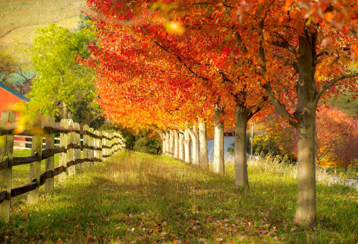 Fall Foliage, Festivals and Fun in Pennsylvania’s Laurel Highlands