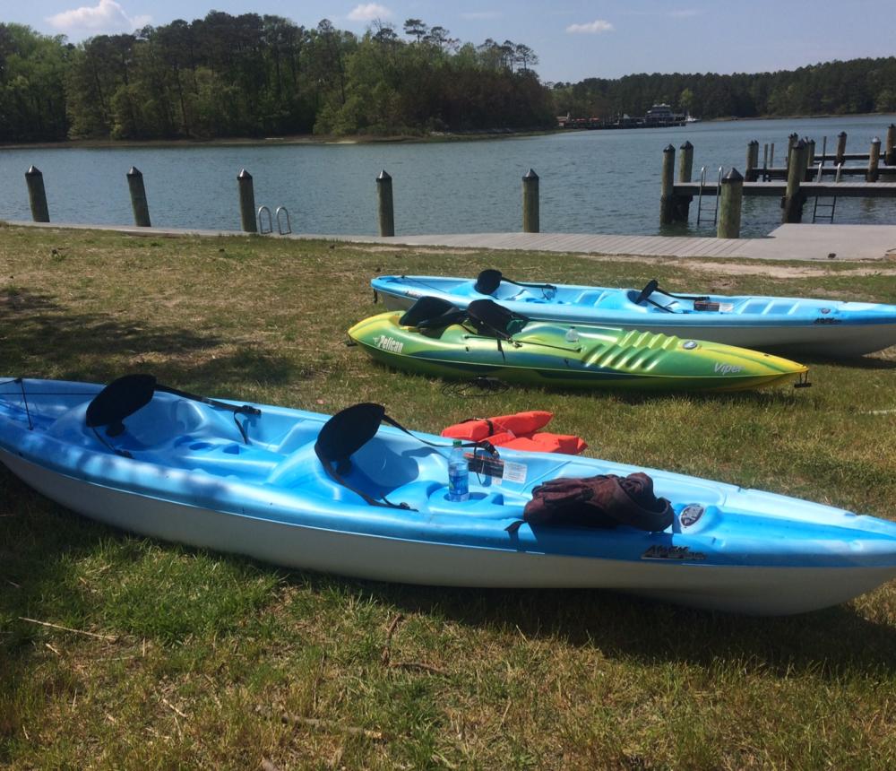 Surf and Beach Equipment Rentals