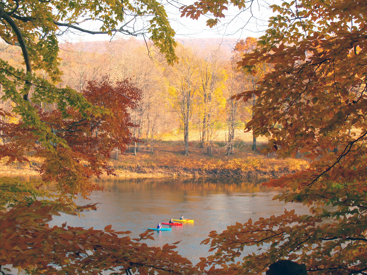25 Ways to View Fall Foliage in The Pocono Mountains