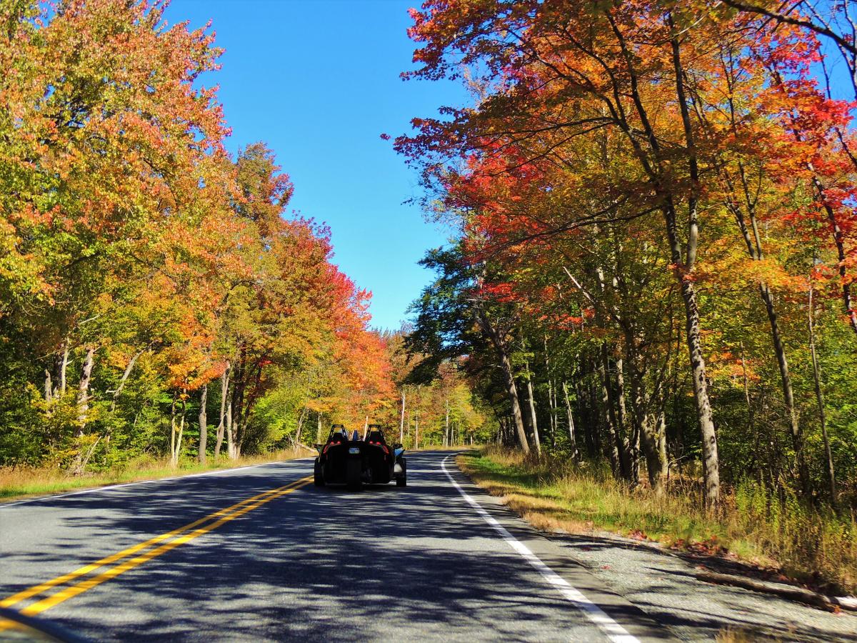 Tree Top In The Poconos at Timothy Simpson blog