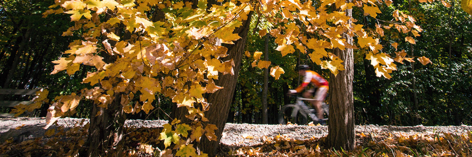 Westfield, Indiana | See Grand Park & Monon Trail Near Indianapolis