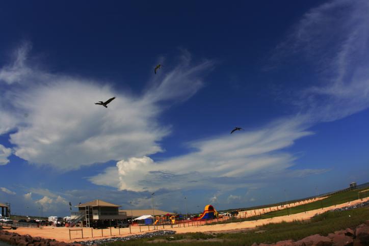 Top 10 Questions About the Creole Nature Trail