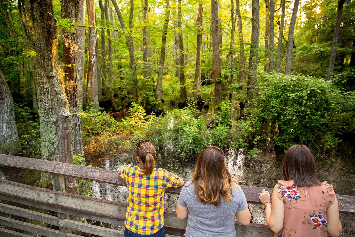 Virginia Travel on a Budget: 12 Affordable Family-Friendly Activities