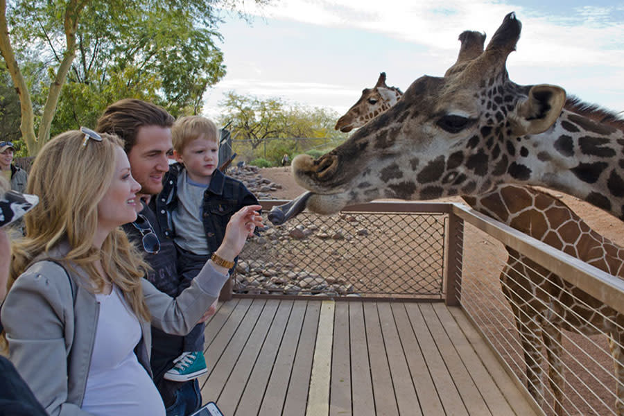 Family Fun Trip Idea | Things to Do with Kids in Phoenix