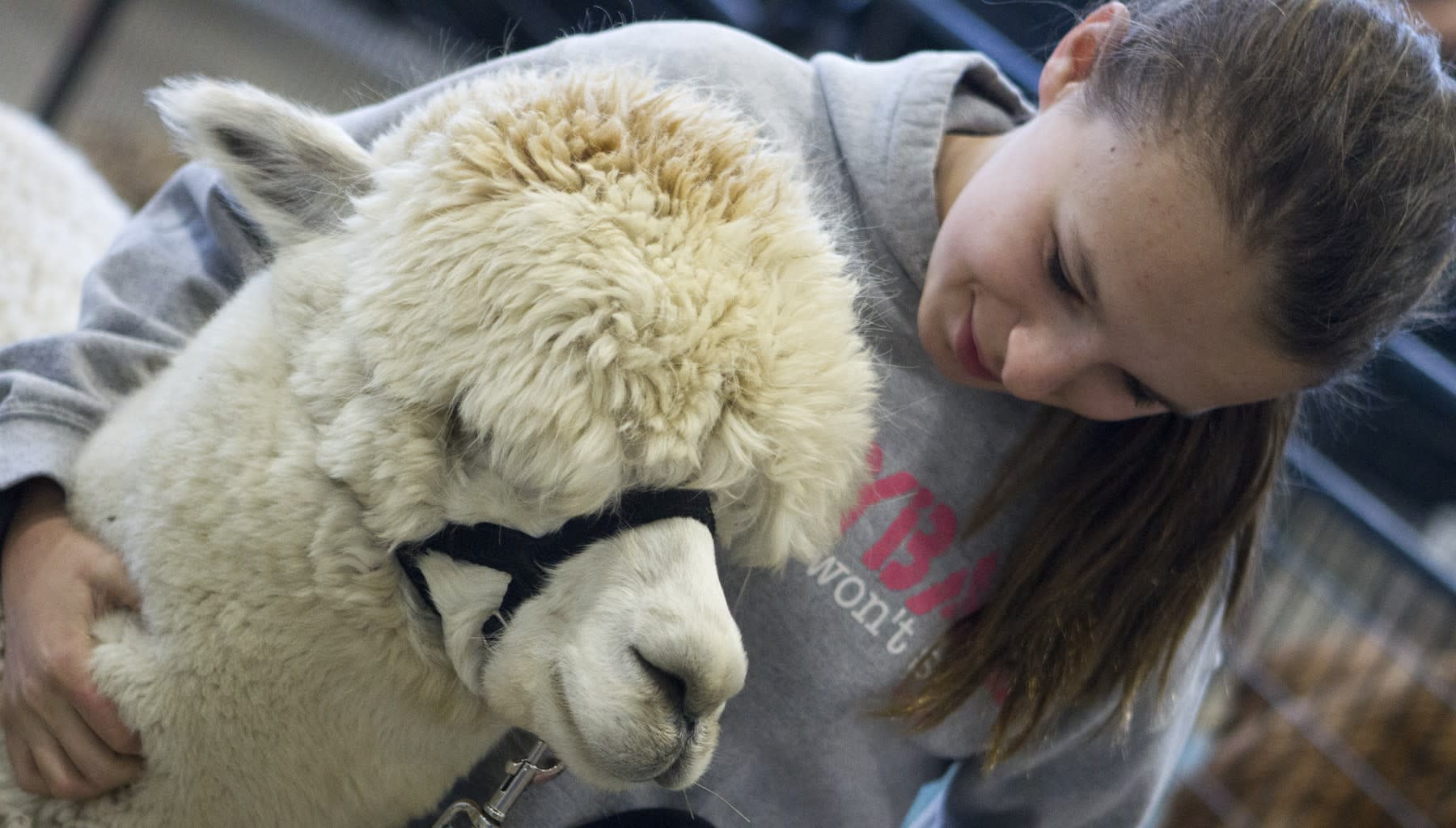 National Alpaca Show 2025 - Denver E. Welk
