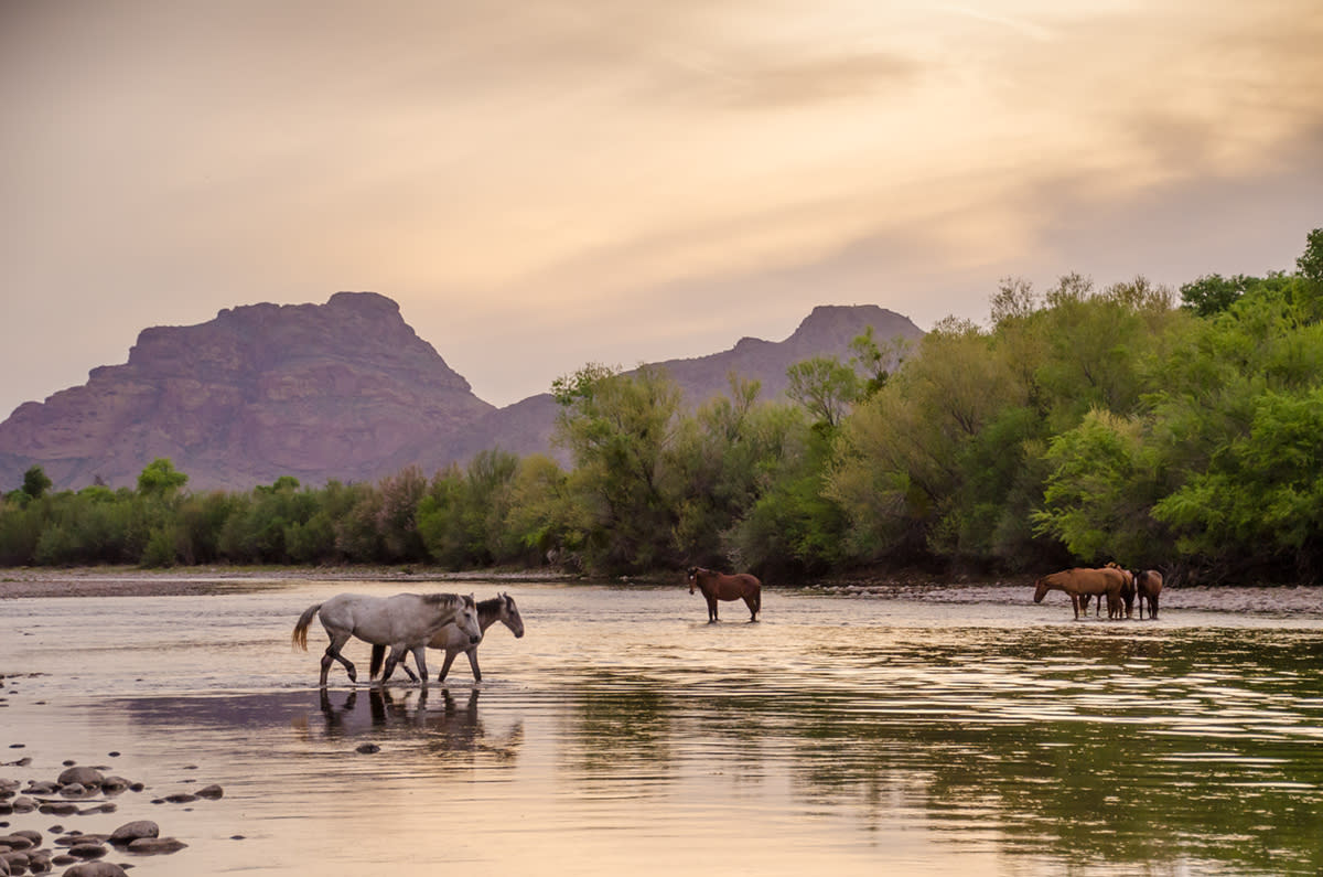 Paddling the Salt River | VisitPhoenix.com Things to do Outdoors