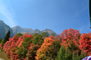 Fall in Utah Valley | Explore Utah Valley