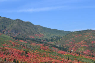 Fall in Utah Valley | Explore Utah Valley