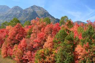 Fall in Utah Valley | Explore Utah Valley