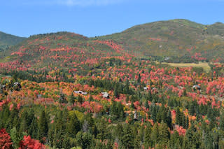 Fall in Utah Valley | Explore Utah Valley