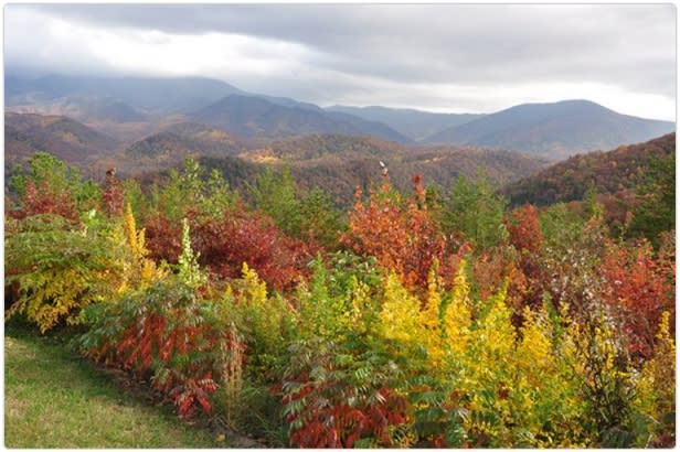 Gatlinburg Tennessee Fall Color