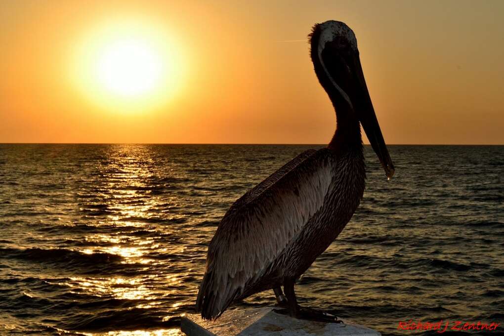 Top 6 Most Fun Beaches in Florida