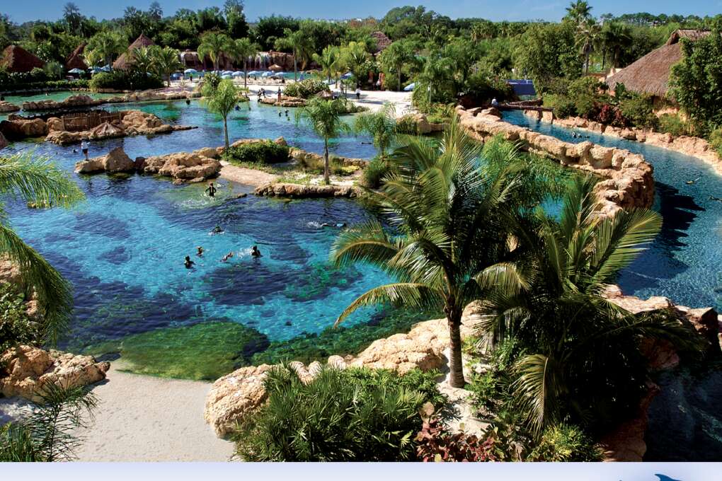 Discovery Cove Orlando: A Tropical Oasis Awaiting for You