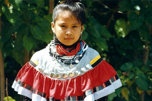 Spirit of the Seminole | VISIT FLORIDA